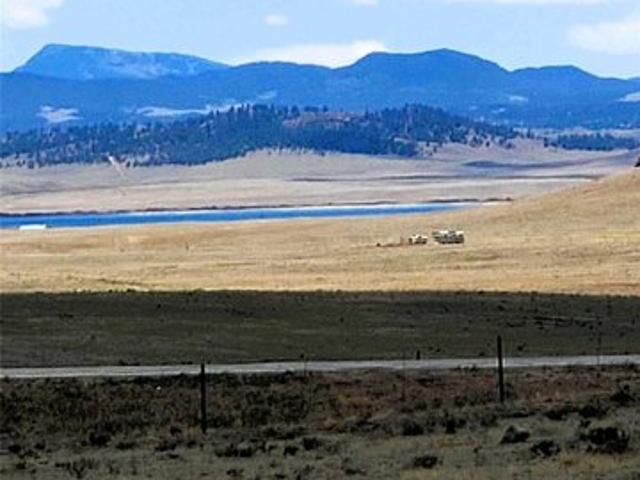 105 Moffat Ln Lot 14, Hartsel, CO 80449