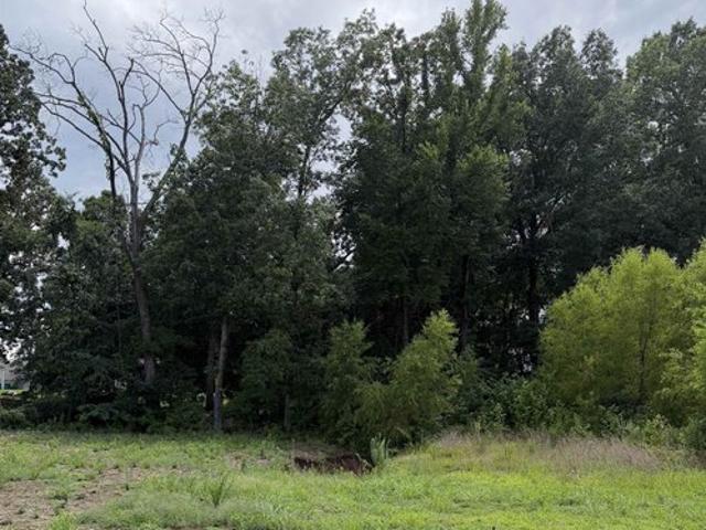 105 Misty Meadow Ln Lot 138, Oakland, TN 38060