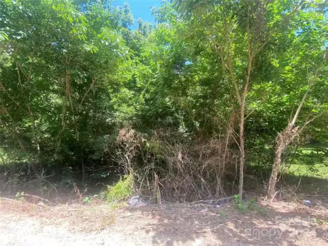 105 N GREGORY ST, LANCASTER, SC 29720 Vacant Land For Sale ML.
