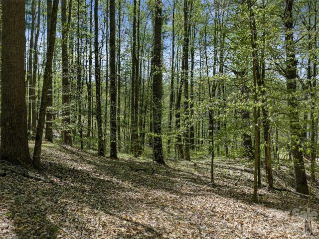 105 Satinwood Dr, Burnsville, NC 28714 | MLS #4374