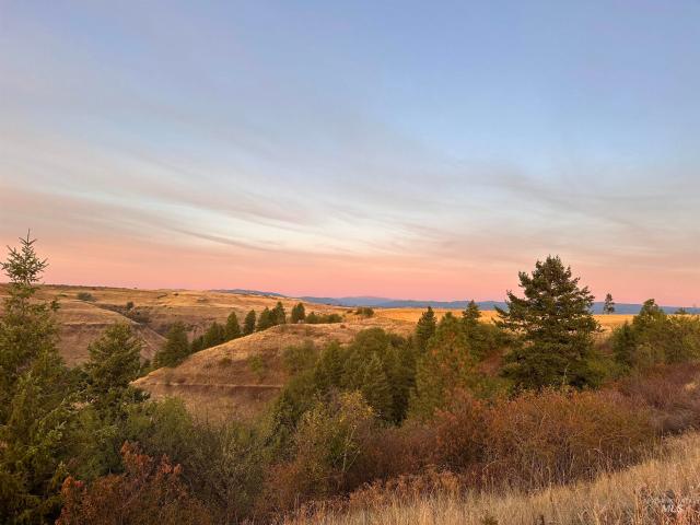 105 Scotlyn Ranch Rd