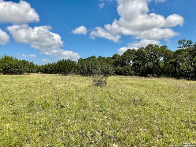 105 Steve Baker Ct, Blanco, TX 78606 | MLS #1917