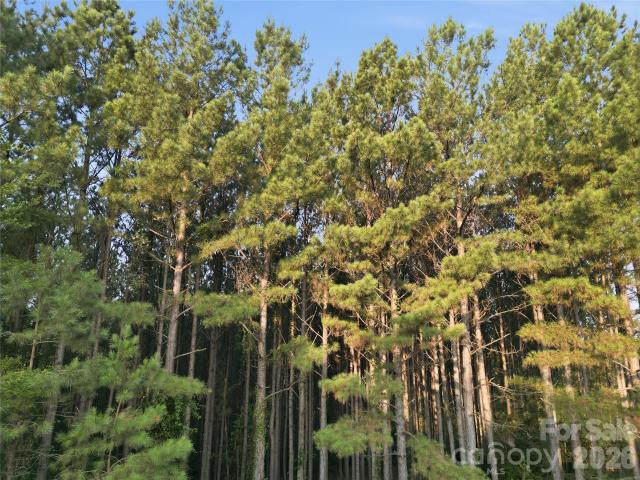 105 Stoney Brook Trail