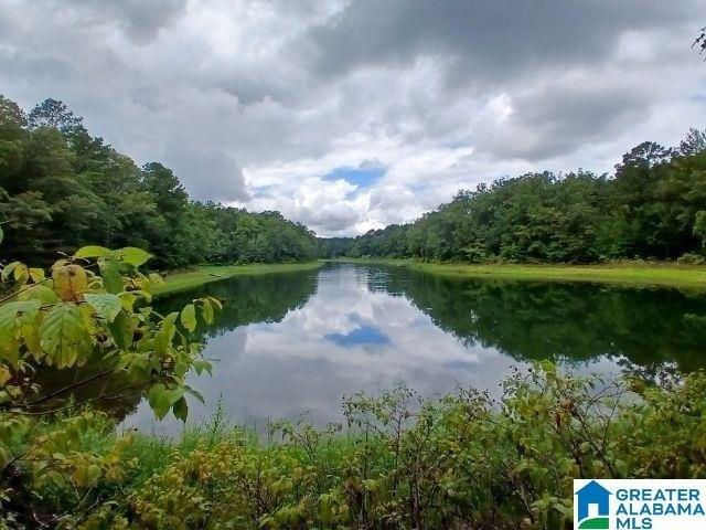 105 Point Aquarius Lot 22, Alpine, AL 35014