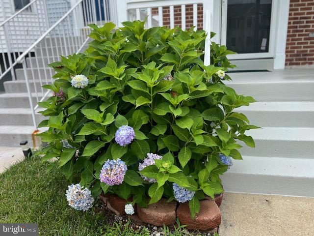 105 Palmetto Court