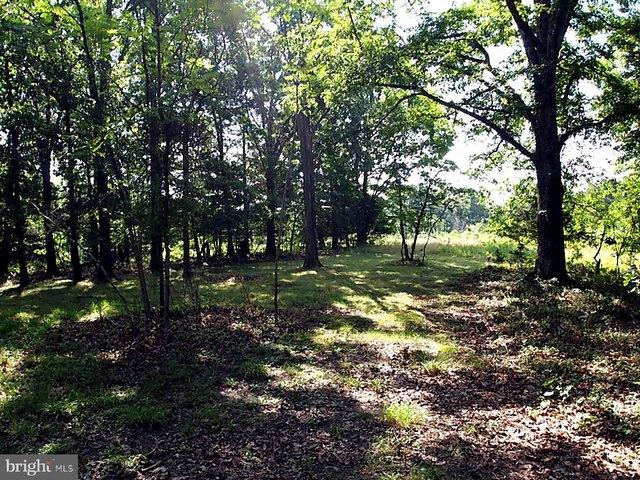 105 Ridgemont Rd, Middletown, VA 22645