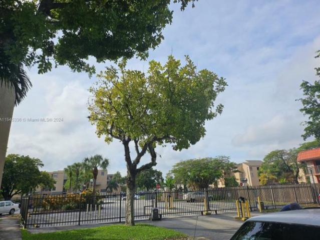 10641 SW 108th Ave #1H, Miami, FL 33176