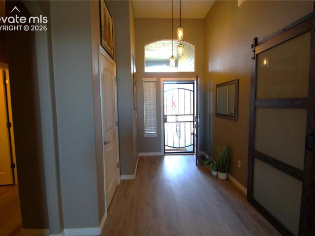 10646 Abrams Drive