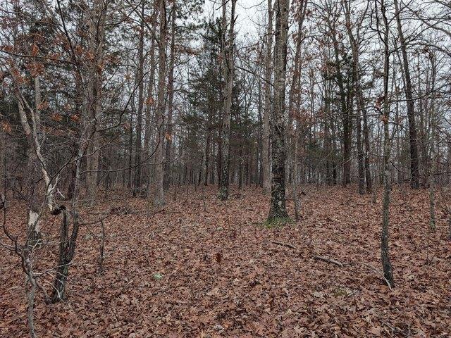 10648 Sydney Ln, Birch Tree, MO 65438