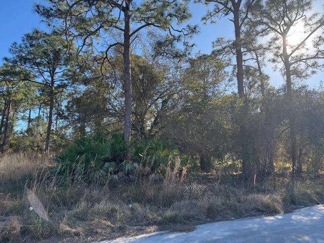 10653 Lighter Wood Ln, Fort Pierce, FL 34945 | MLS #R11161