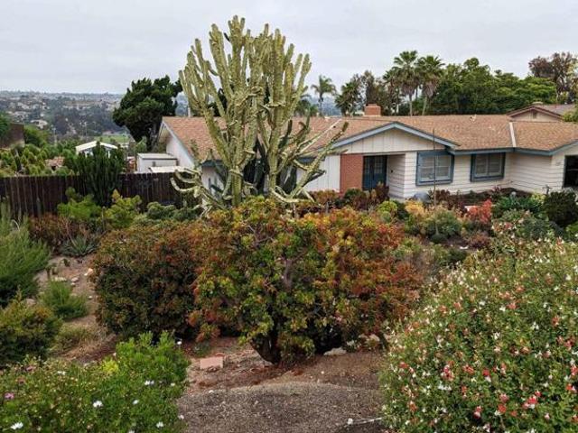 1065 Calle Mesita, Bonita, CA 91902