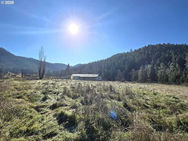 1065 panther gulch rd