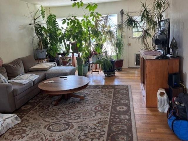 1065 Sunset Drive