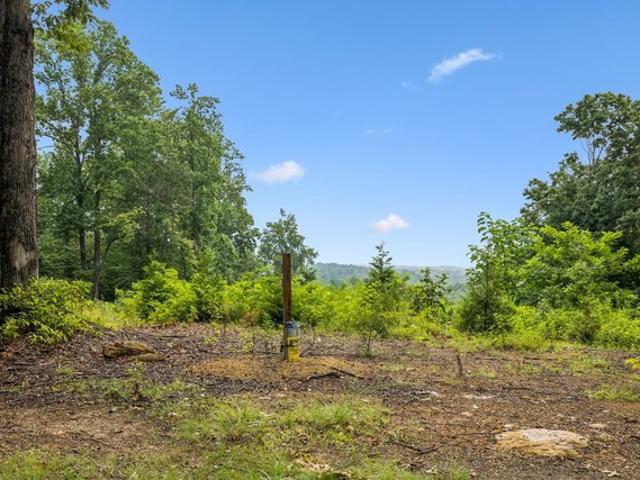 1065 Sioux Trl, Pegram, TN 37143