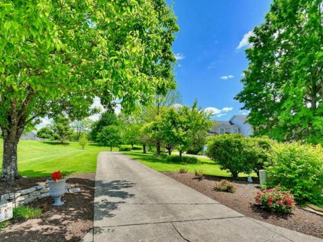 10667 Bridlepath Lane