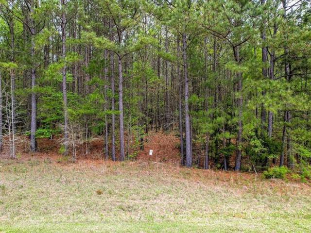 1066 Clinton Williams Rd Lot 11, Lincolnton, GA