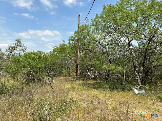 1066 Robertson Rd, Smiley, TX 78159 | MLS #581058