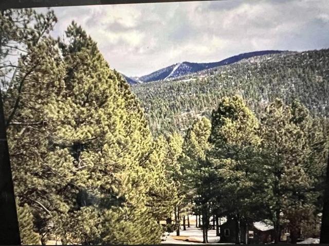 1066A Woodlands, Angel Fire, NM 87710