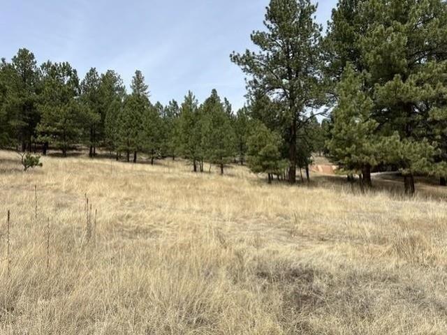 1066A Woodlands, Angel Fire, NM 87710