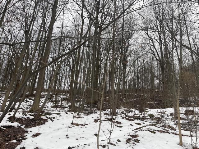 10673 State Route 34