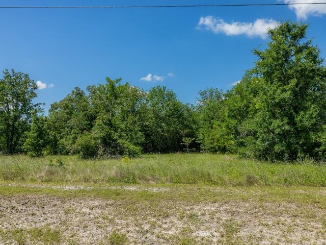 10677 Brushwood Cutoff