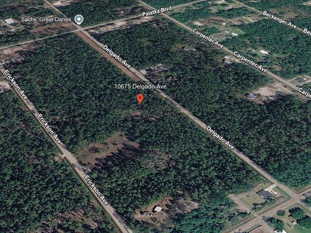 10675 Delgado Ave, Hastings, FL 32145