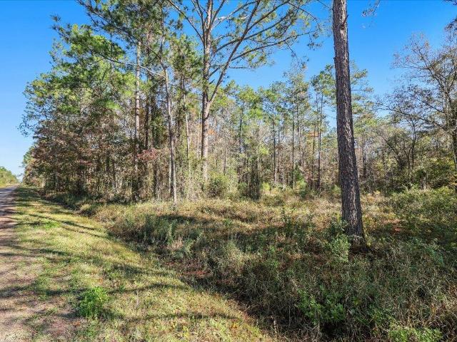 10690 Gregory Ave, Hastings, FL 32145 | MLS #237729 | Compass