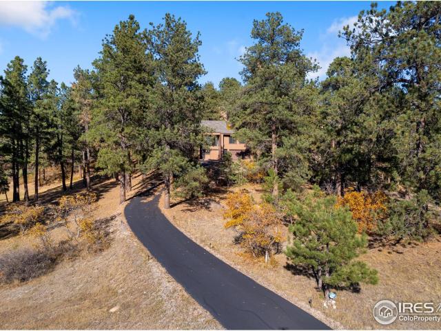 10691 Tomichi Dr, Franktown, US, CO