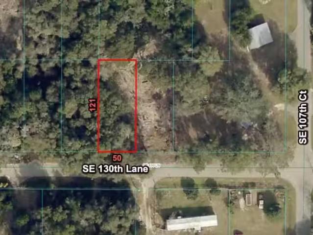 10691 SE 130th Ln, Ocklawaha, FL 32179 MLS O6304295
