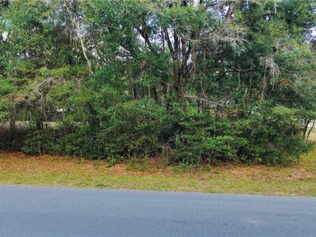 10699 N Academy Dr, Citrus Springs, FL 34434
