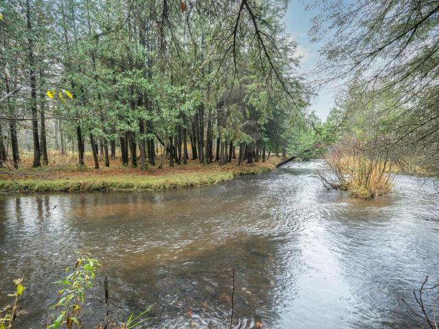 10600 Cranberry Lake Rd, Gladwin, MI