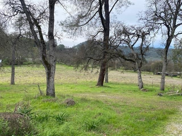 10601 Acorn Ln, Angels Camp, CA 95222