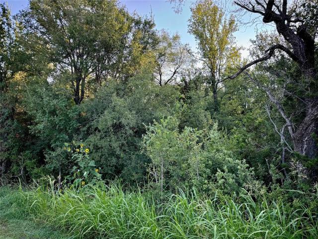 10601 County Road 1240, Cleburne, TX 76033 | MLS #20704