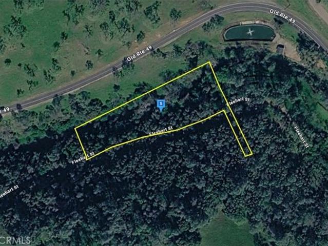10605 Fleehart St, Amador City, CA 95601