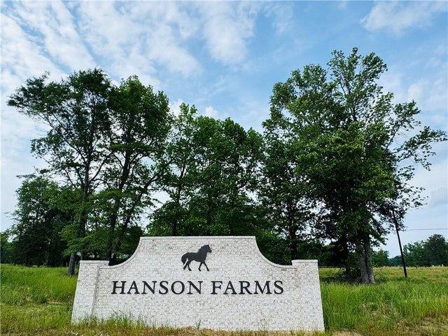 1060 Hanson Farms Dr, Auburn, AL 36830