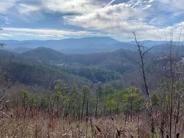 1060 Rayfield Hollow Way, Sevierville, TN 37862 | MLS #3138