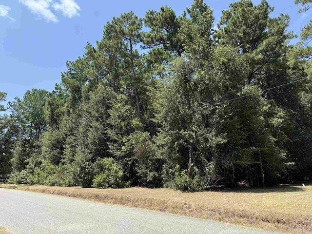 10613 Peck Rd, Lumberton, TX 77657