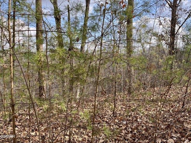 106107 Dollys Dr, Sevierville, TN 37876