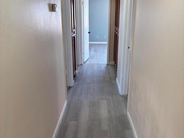 10611 N Garibaldi Dr Drive