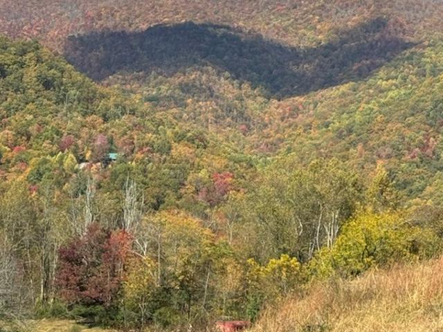 10617 Highway 64, Hayesville, NC 28904 | MLS #430718