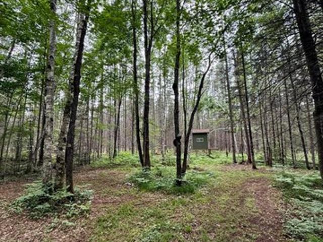 10617 Pat Phalen Rd, Crandon, WI 54520