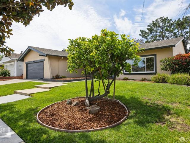 10619 Nathanson Ave, Cupertino, CA 95014 | MLS #426122 | Compass