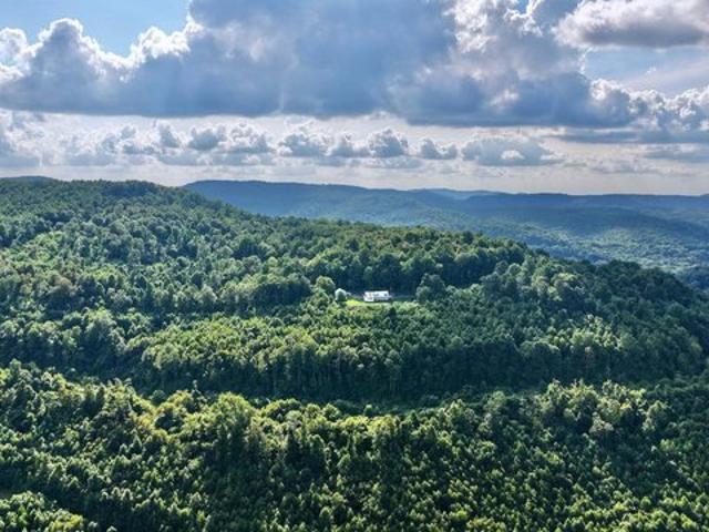1061 Peaser Rd, Leivasy, WV 26676