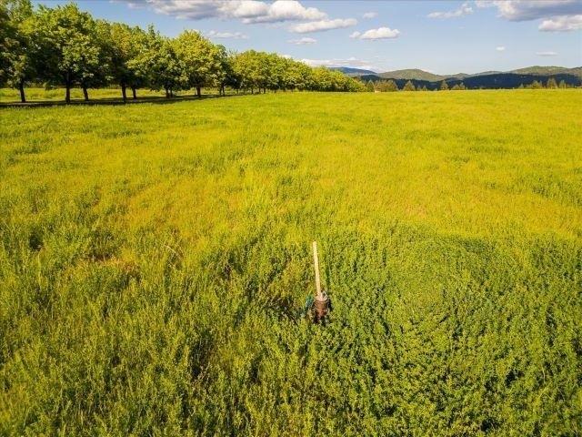 10621 E Day Mt Spokane Rd, Mead, WA 99021