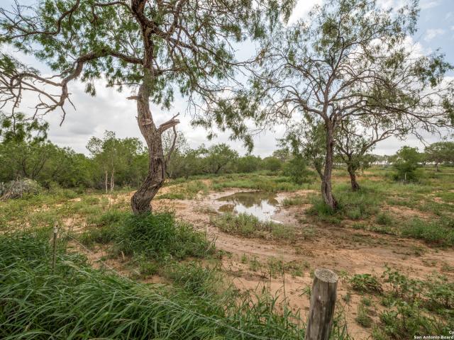 1062 County Road 122, Lot 4, Floresville, TX 78114 | MLS #1877