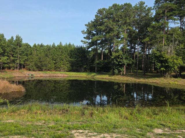 1062 Tinton Point SW # 71