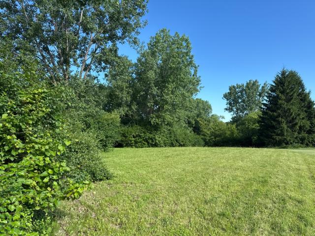10630 White Face Ct, Woodstock, IL 60098 | MLS #12684