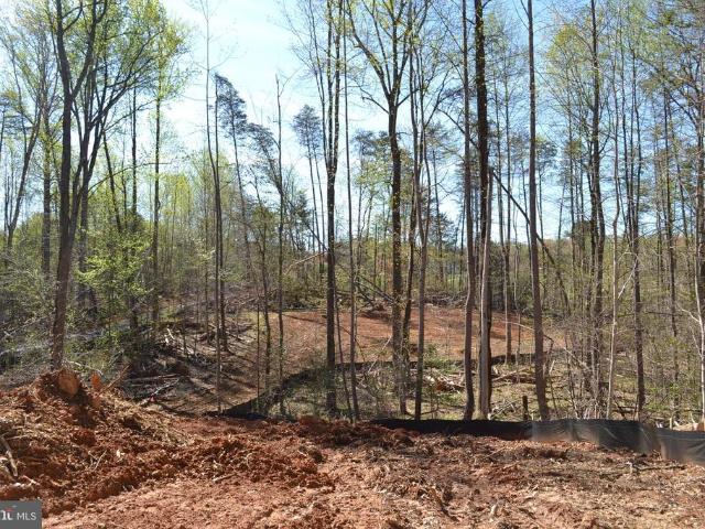10631 Plank Road