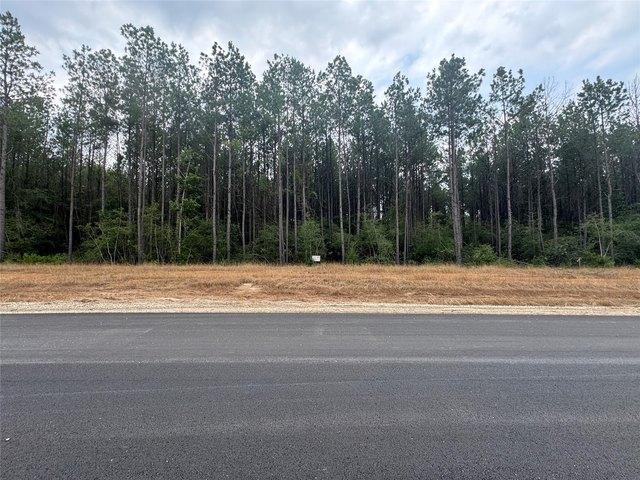 10634 Forest Mill Rd, Willis, TX 77378