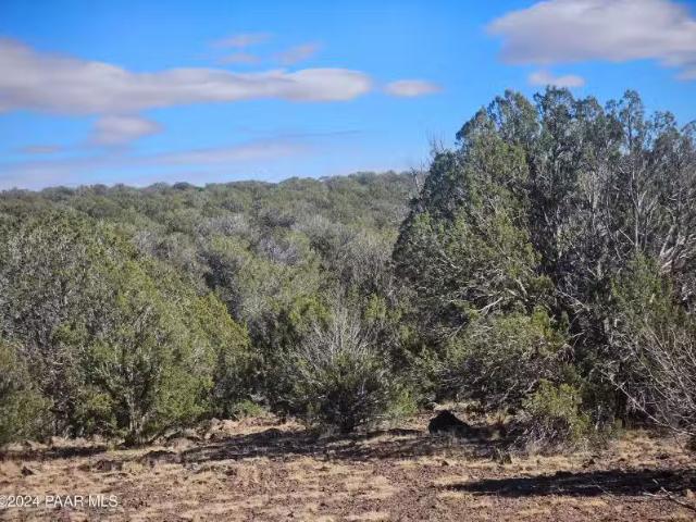 10636 Stone Lake Blvd, Williams, AZ 86046 MLS 1068728